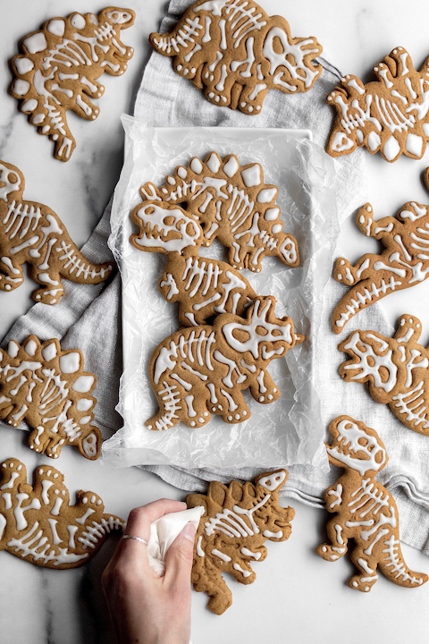 Dinosaur Gingerbread Cookies by Lee McGuire - FoodSocial