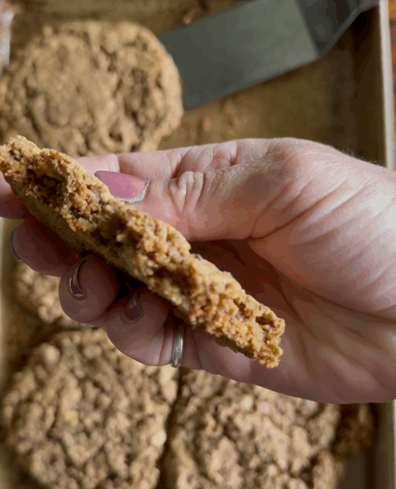 Protein Maple Peanut Butter Cookies by Morgan Oliveto - FoodSocial